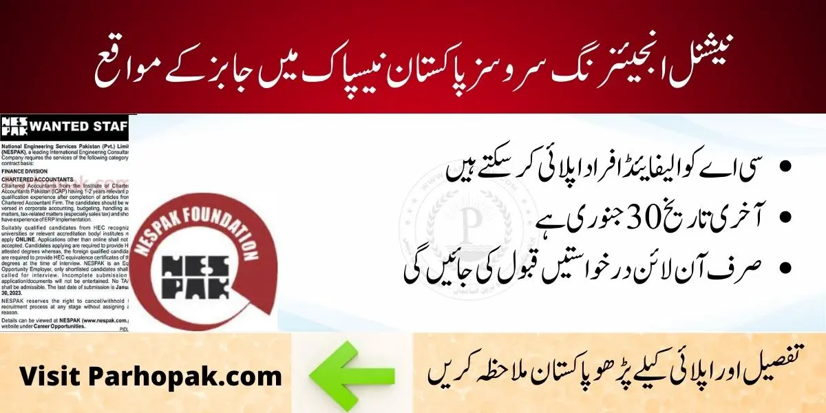 NESPAK Jobs 2023 Apply Online - National Engineering Services Pakistan Ltd