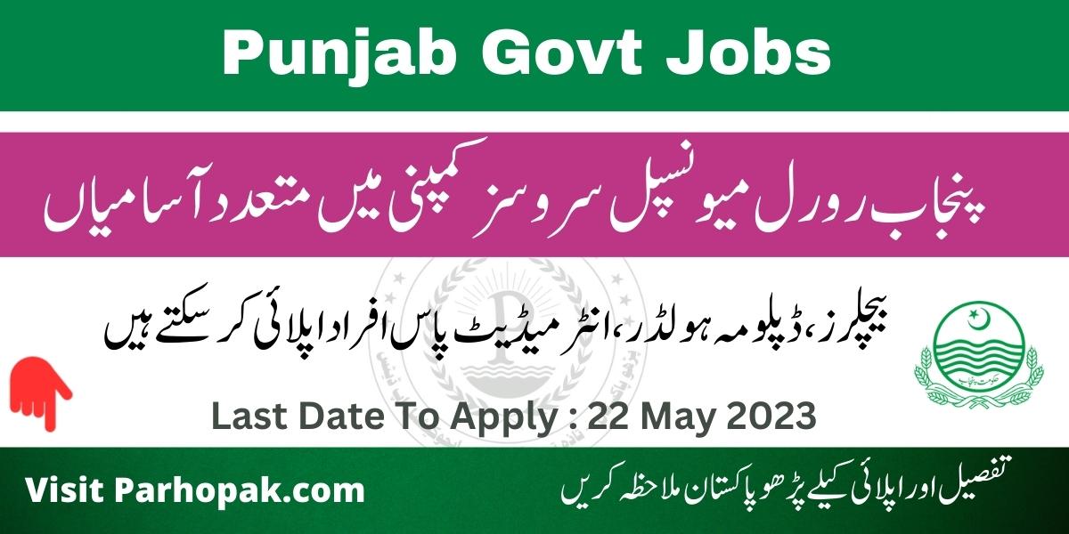 Primary and Secondary Healthcare Department NTS Punjab Govt Jobs 2023