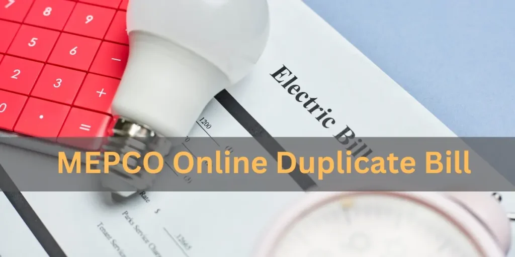 MEPCO Bill Online Check Duplicate with Customer ID and Reference Number