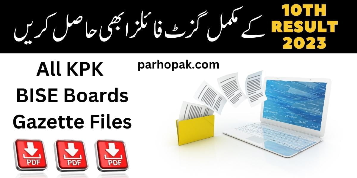 Download Gazette 11th Result 2024 PDF – All Punjab BISE Boards